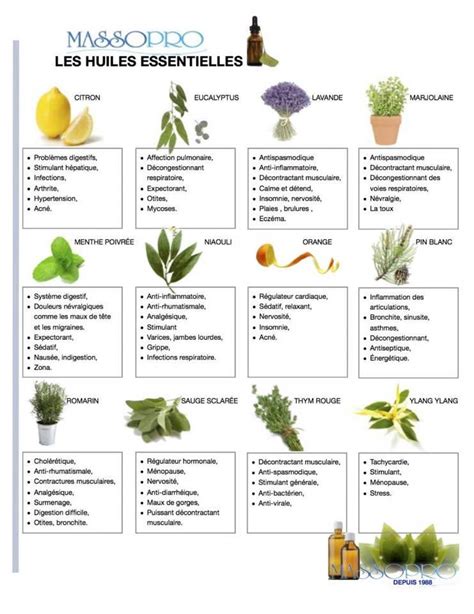 Pingl Par Papillonne Sur Sant Huiles Essentielles Guide Huiles