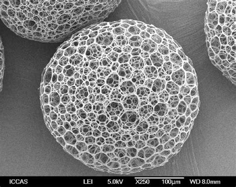 Biodegradable Polymeric Microcarriers With Controllable Porous