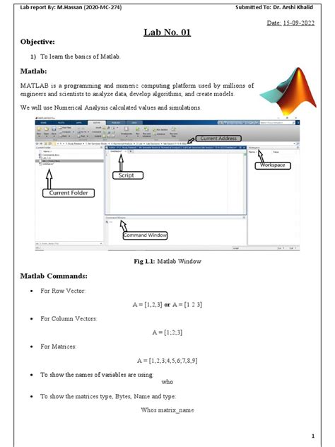 lab no 1 pdf matrix mathematics matlab