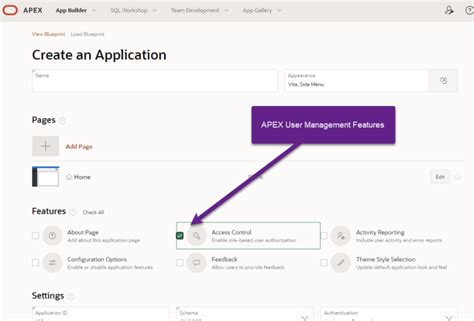 Oracle Apex Low Code Authentication And Authorization Storm Petrel Llc