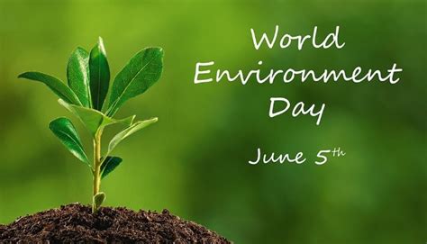 When Is World Environment Day Nara Tamera