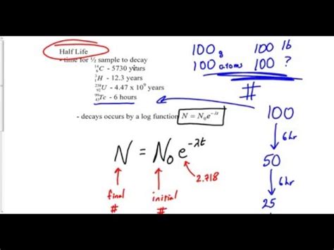 How To Find Decay Constant From Half Life A Radioisotope Has A Half