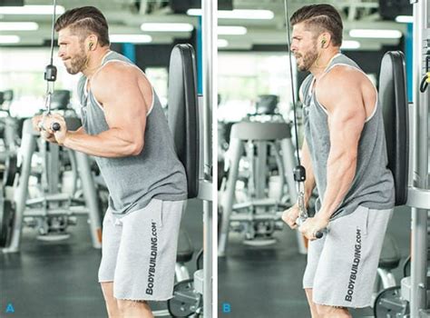 10 Melhores Exercícios para Tríceps Casa e Academia MundoBoaForma