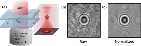 in line holographic video microscopy