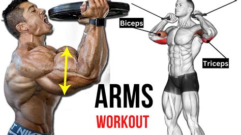 How To Build Your Arms Workout Biceps Y Triceps
