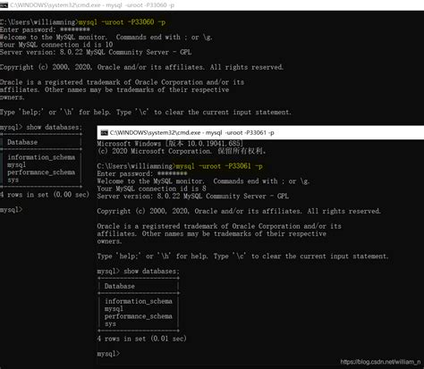 mysql 8 0 docker安装 win10 学习 实践 docker mysql database is uninitialized csdn博客