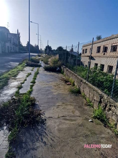 Viale Delle Tre Grazie Abbandono Totale Segnalazione A Palermo