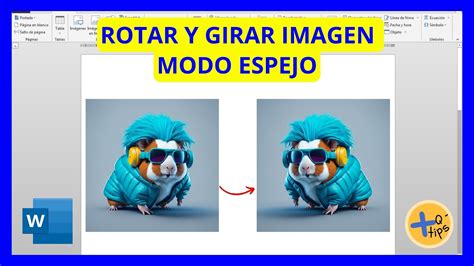 Cómo GIRAR y VOLTEAR una IMAGEN en WORD YouTube