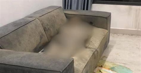 Điều tra vụ thi thể nữ giới khô trên sofa tại 1 chung cư ở Hà Nội