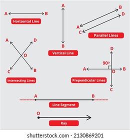 Types Lines Horizontal Verticalparallelperpendicularintersecting Lines