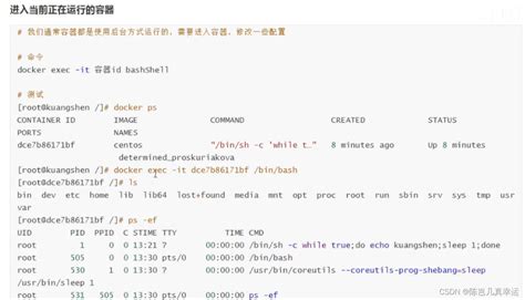02 docker常用命令 csdn博客