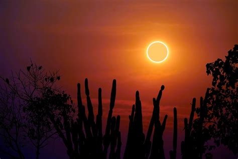 Ver Un Eclipse Directamente Y Sin Lentes Es Peligroso GQ