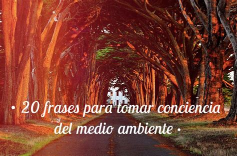 Descubrir 41 Imagen Frases Celebres Para El Dia Del Medio Ambiente