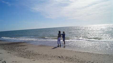 Gr M Strand Bellis