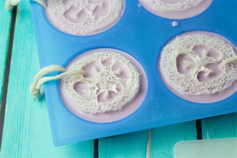 Easy Loofah Soap Recipe