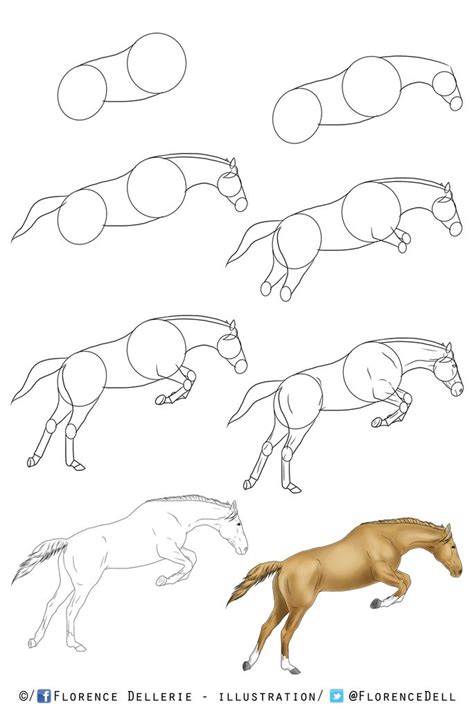 Apprendre Dessiner Les Chevaux Tutoriel Le Carton Dessins De