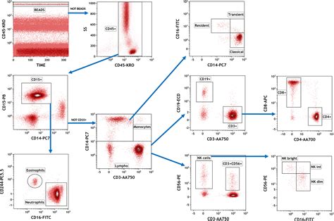 Deep Phenotyping Of Immune Cell Populations By Optimized And