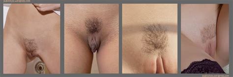 Naked Girl Trimmed Pubic Hair Pictures Telegraph