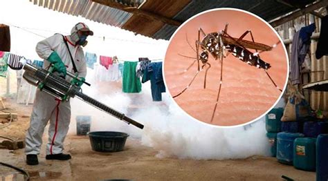 MINSA advierte incremento de casos de dengue en la región de Tumbes