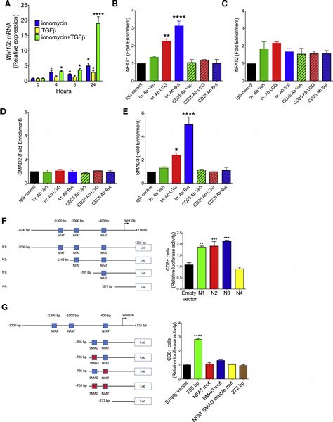 The Microbial Metabolite Butyrate Stimulates Bone Formation Via T