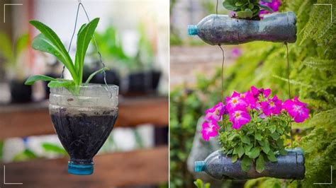 Maceteros Con Botellas De Pl Stico Super Originales Planeta