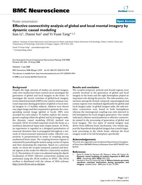 pdf effective connectivity analysis of global and local mental