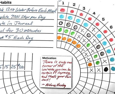 Habit Tracker BASIC PDF Form Daily Habit Tracker Circle PDF Form