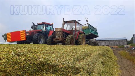 KUKURYDZA NA KISZONKĘ 20225xCase 2xNew Holland Deutz Fahr 2xUrsus