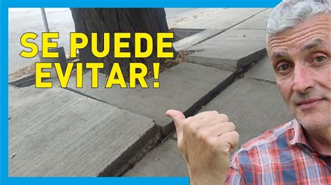 Cómo Evitar que las RAÍCES de Árboles Levanten el piso 7 IDEAS que