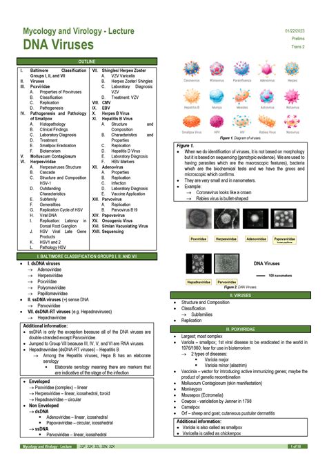 P Trans Myco Viro Lec Dna Viruses Mycology And Virology Lecture