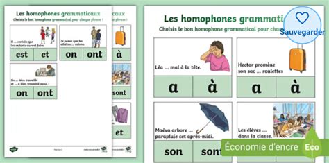 Les Homophones Français Twinkl