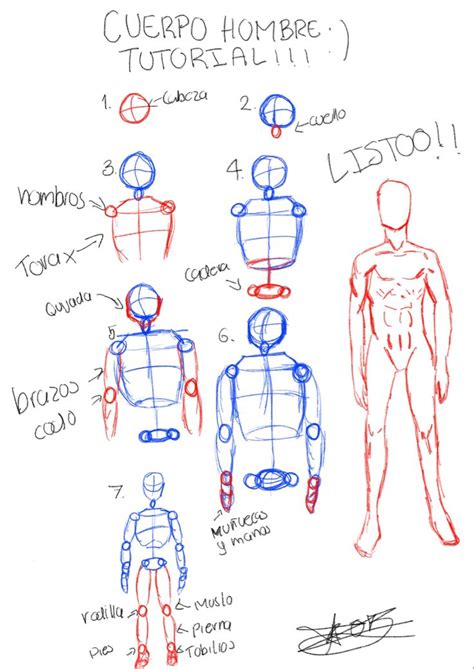 Boceto Cuerpo Hombre Cuerpo De Hombre Hombres Dibujos Detallados