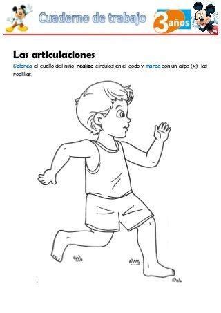 Fichas Sobre El Cuerpo Humano C Artofit