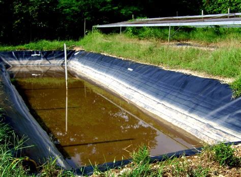 Conoces los beneficios de las aguas negras No es broma Ecología