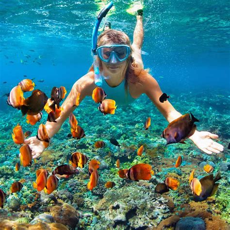 Nusa Penida 1 Day Tour Snorkeling Bali Tour Packages Bali Tour