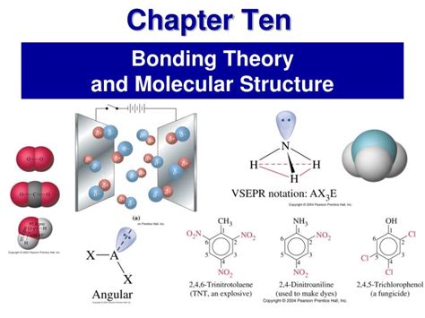 Ppt Bonding Theory And Molecular Structure Powerpoint Presentation