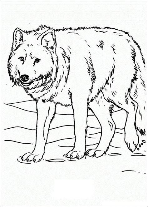 Coloriage Loup Qui Marche télécharger et imprimer gratuit sur