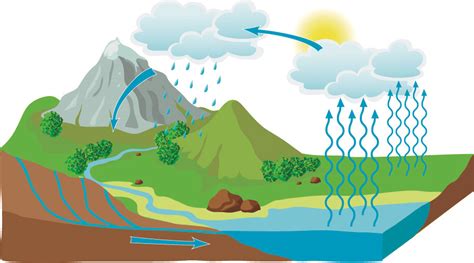 El Ciclo Del Agua Cu Nto Sabes Fundaci N Aquae
