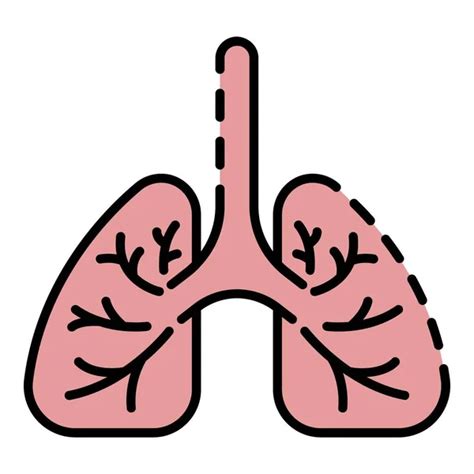 Alveolos pulmonares imágenes de stock de arte vectorial Depositphotos