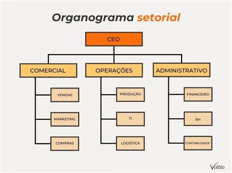 O Que Organograma Tipos E Modelos Para Usar
