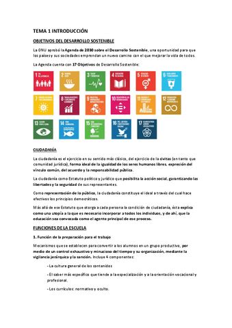 TEMA 1 RESUMEN INTRODUCCION Pdf