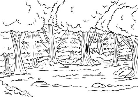 Malvorlage Wald Ausmalbild Kostenlos Herunterladen