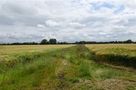 Track To Whincover Farm DS Pugh Geograph Britain And Ireland