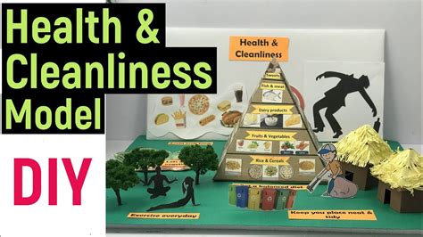 Health And Cleanliness Model Science Project Model DIY Health