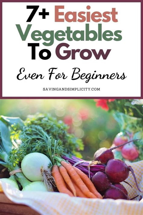 7 Easiest Vegetables To Grow Even For Beginner Gardeners Saving