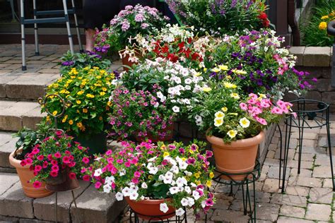 21 Butterfly Container Garden Ideas You Should Look SharonSable