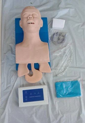 Trachea Intubation Model At Rs 27500 Human Anatomical Models In