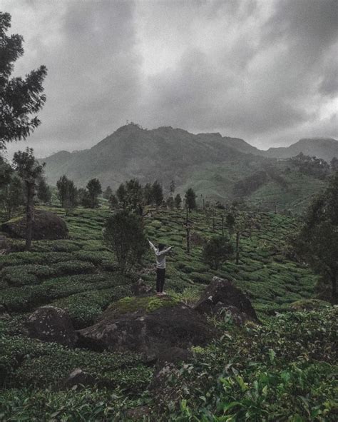 Travel Photography Munnar Hills Top Mobile Clicks Munnar Clicks