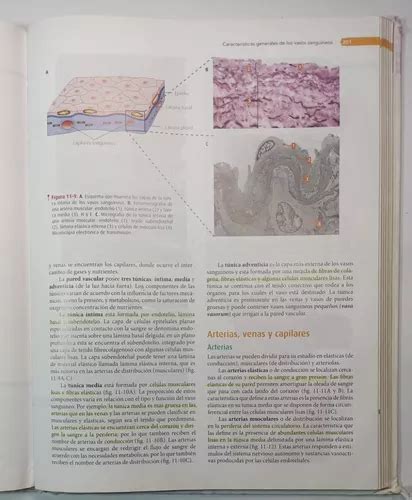 Texto Atlas De Histología Biología Celular Y Tisular en venta en