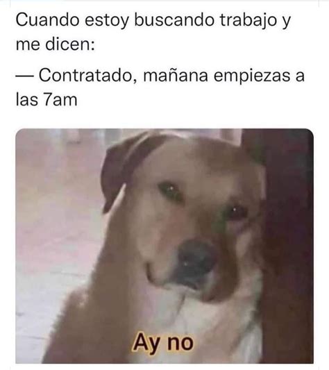 Chale Meme Subido Por Bite Skull Studios Memedroid